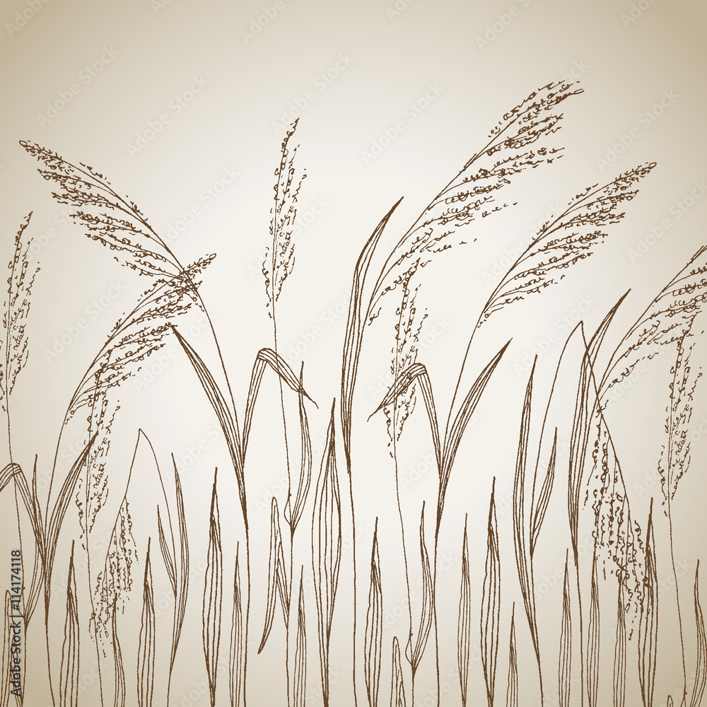 Vector grass sketch, vector illustration with wild herbs Stock Vector ...