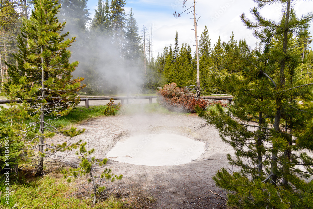 Steaming aqua hot spring, Yellowstone. / Clear, aqua hot spring with ...