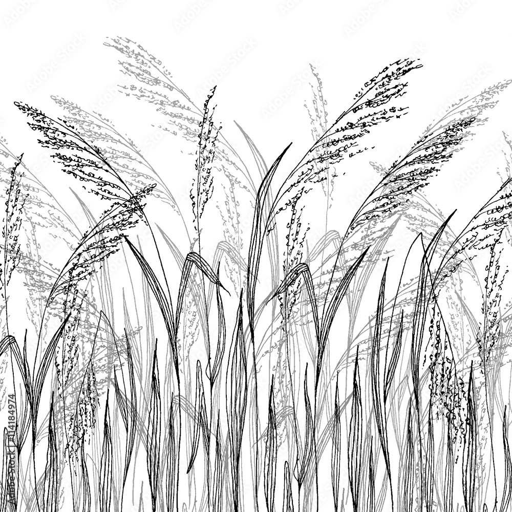 Vector grass sketch, vector illustration with wild herbs Stock Vector ...