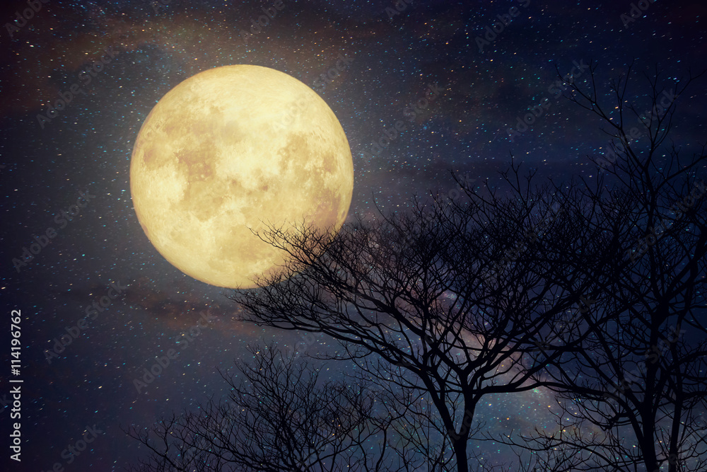 Milky Way star in night skies, full moon and old tree - Retro style ...