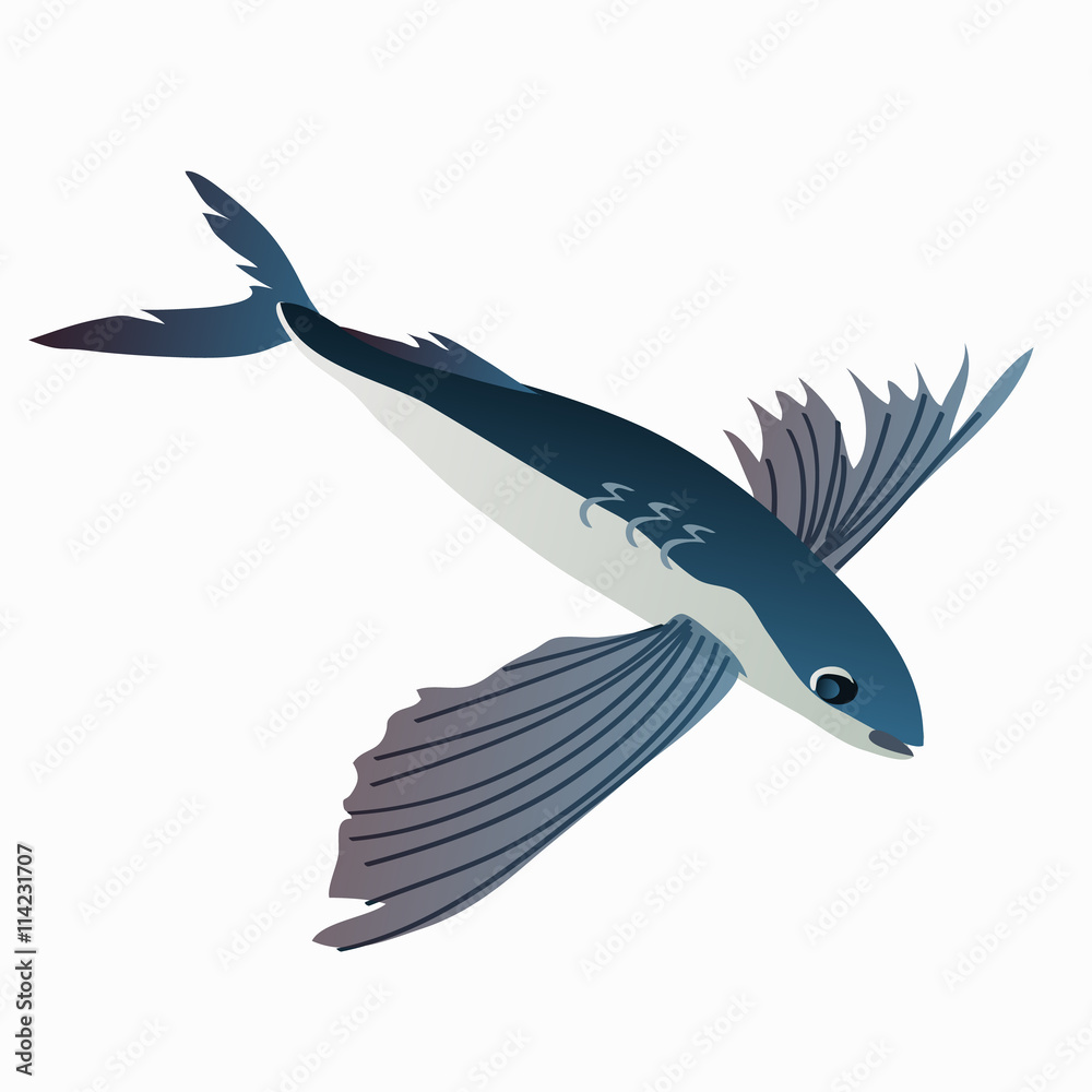 Flying fish in cartoon style on white background Stock Vector | Adobe Stock