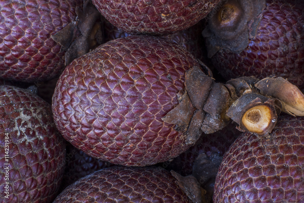 Aguaje, Moriche, palm fruit, buriti nuts, mauritia flexuosa, Maurity ...