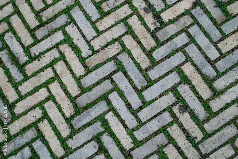 Stone Path Pattern