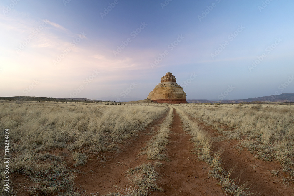 Flat Grassy Landscape