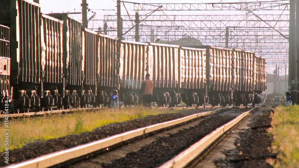 Cargo Train Pulls Cargo train with wagons, a Train pulls the railroad ...