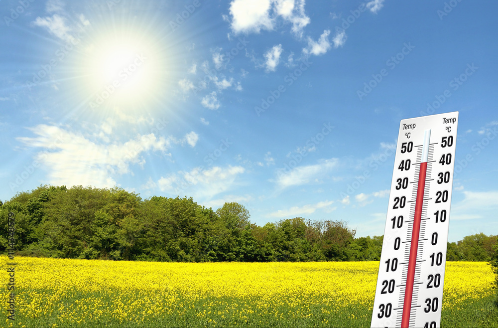 Hitze am Feld bei 40 grad Temperatur am Thermometer, Sonne, Klimawandel ...