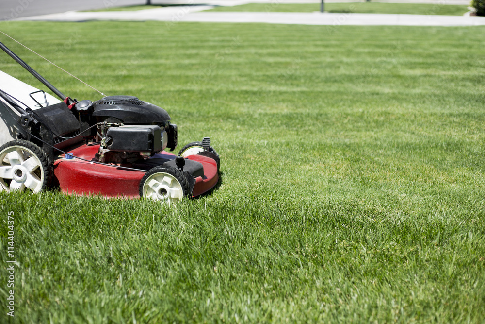 Mowing the lawn in the front yard beautiful green grass Stock Photo ...