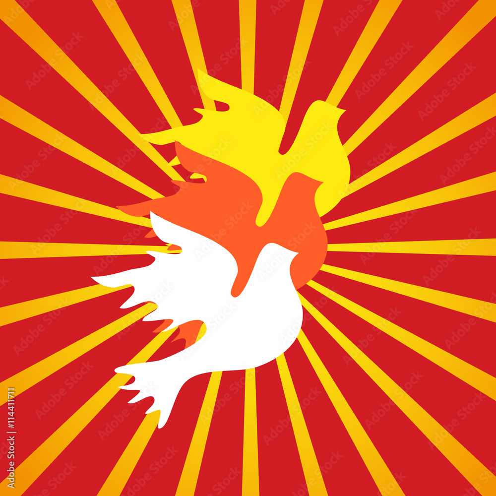 Flying dove. Freedom concept. Peace symbol. Liberty and independence ...