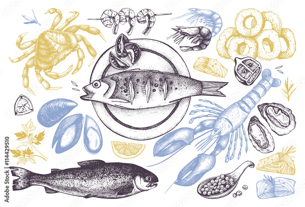 Vector Seafood set. Hand drawn sea food sketch collection - fresh fish ...