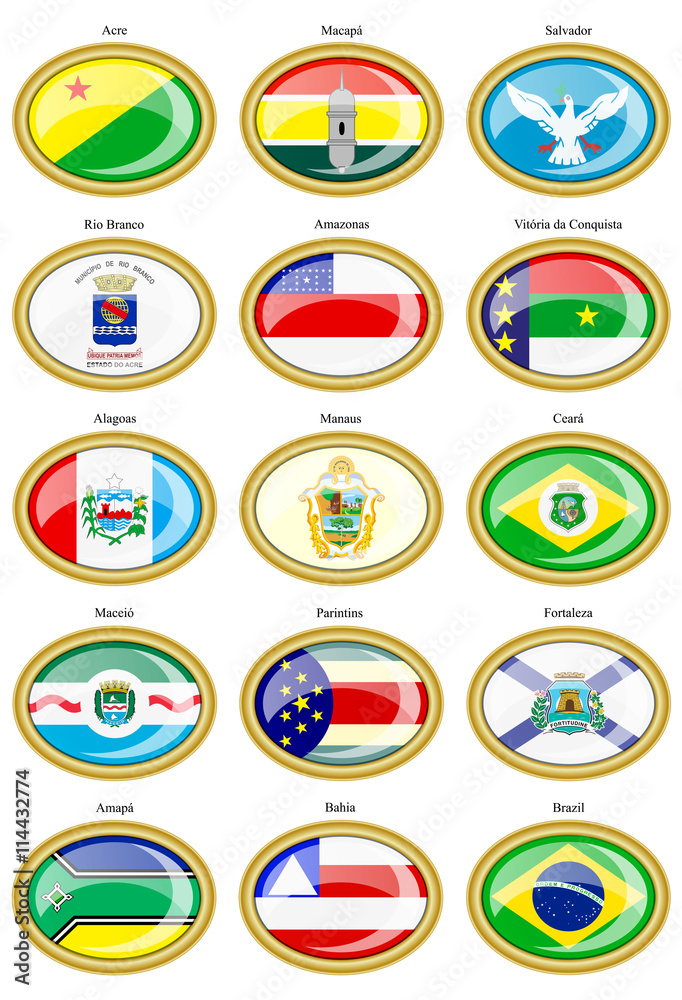 Flags of the Brazilian states and cities Stock Vector | Adobe Stock
