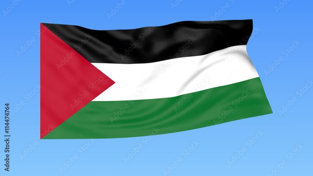 Waving flag of Palestine, seamless loop. Exact size, blue background ...