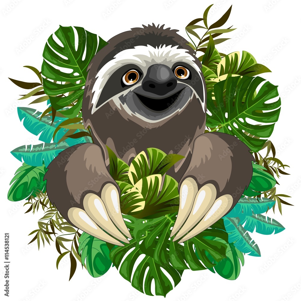 Faultier Cartoon Eiszeit