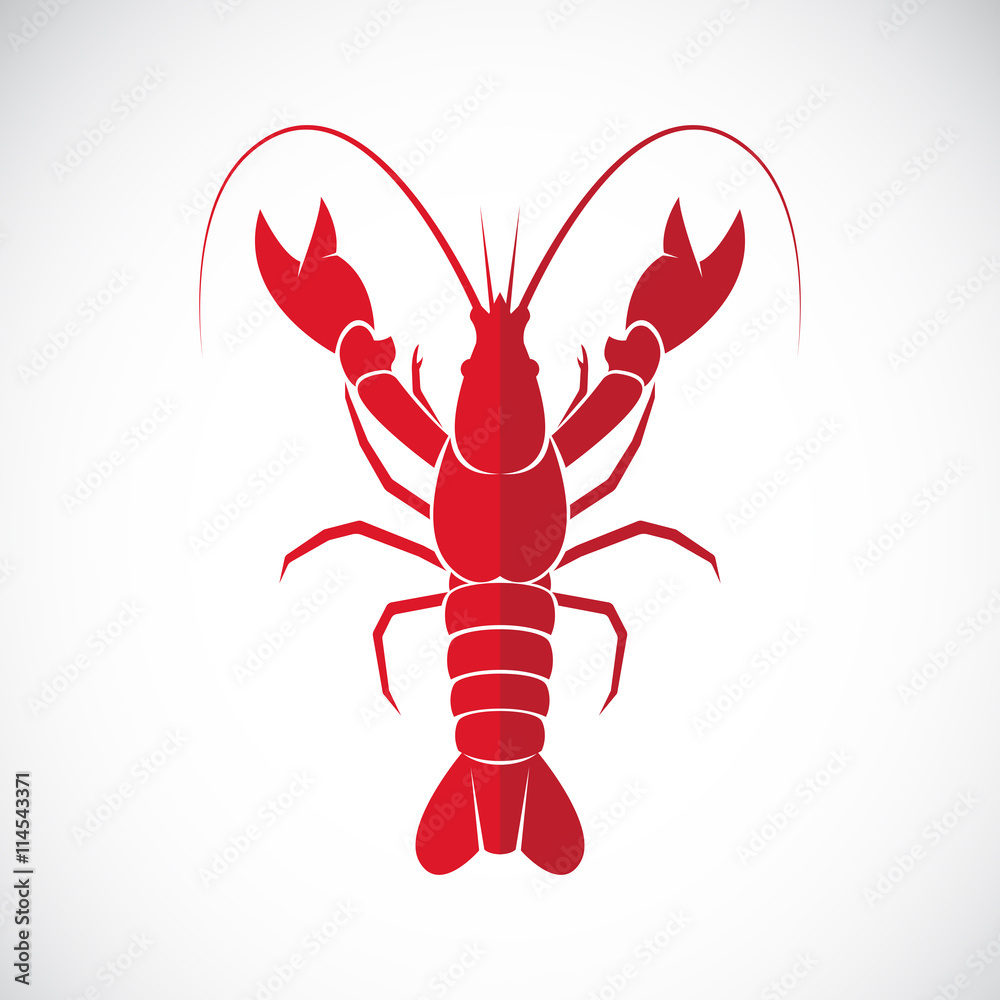 Vector of an lobster design on white background., Lobster. Stock Vector ...