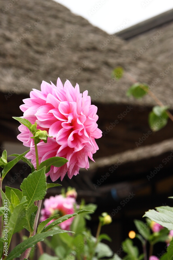 Ouchijuku in Fukushima, JAPAN (Ouchijuku is a small isolated village in ...