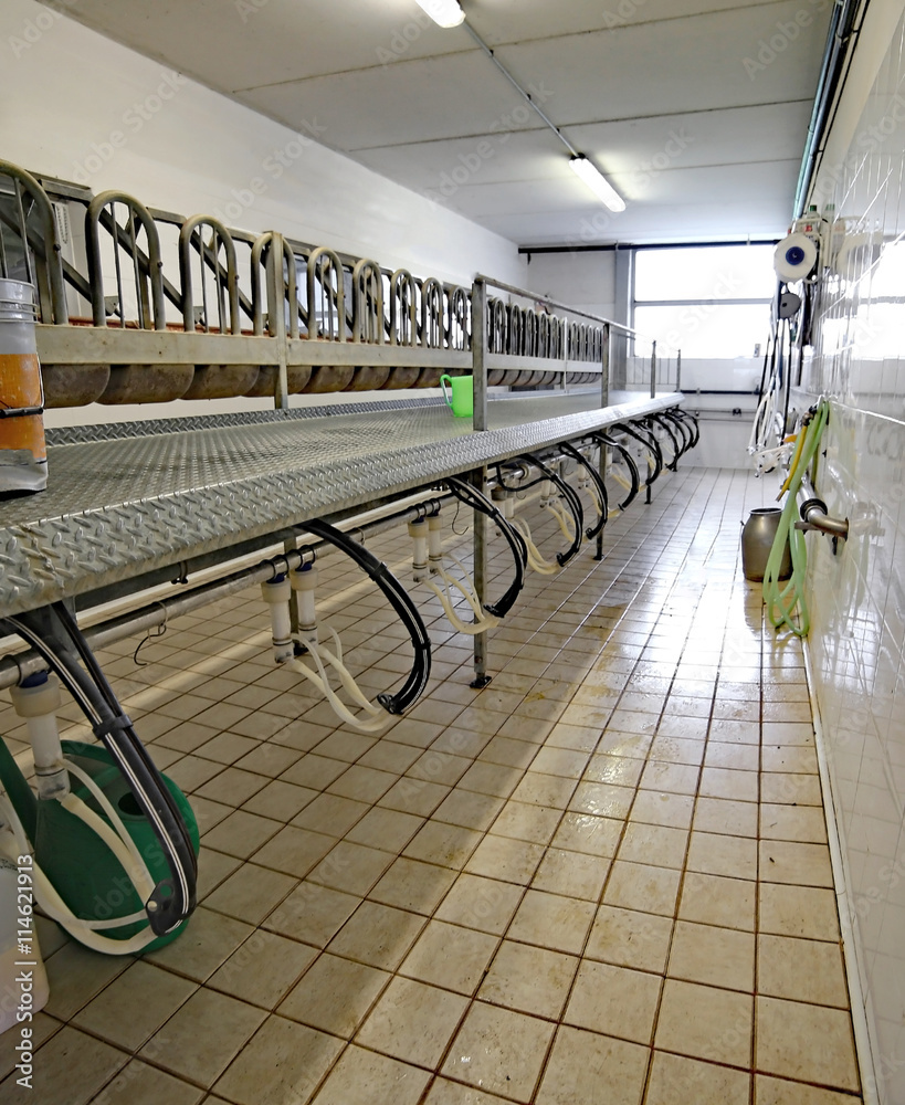 Milking Parlour For Goats