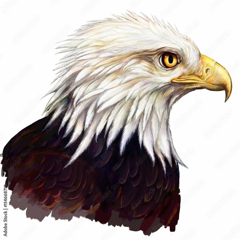 American Eagle Head