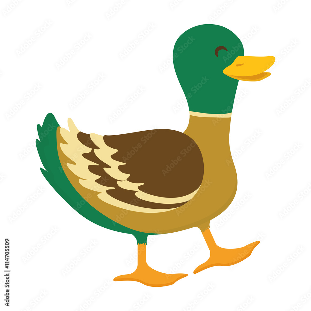Farm animal concept represented by duck cartoon icon. isolated and flat ...