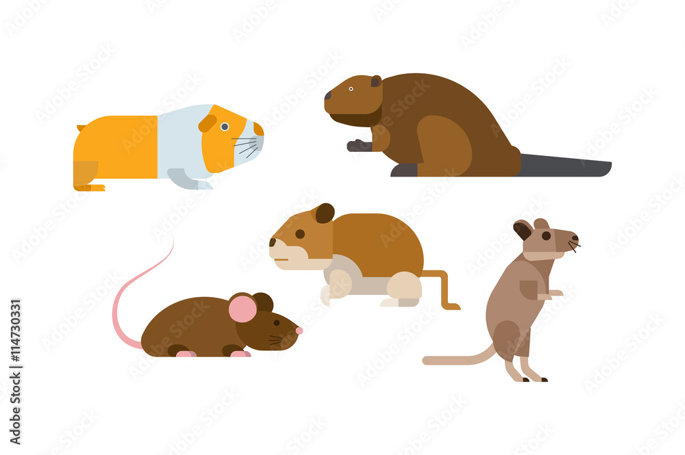 Cute cartoon rodents animals, mouse cartoon in action set, with nine ...