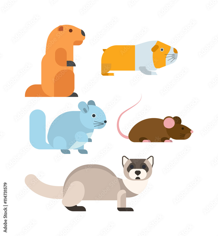 Cute cartoon rodents animals, mouse cartoon in action set, with nine ...