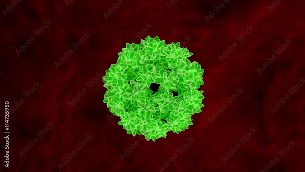 mystic green rotating ball cell 4k loop algae virus Stock-Video | Adobe ...