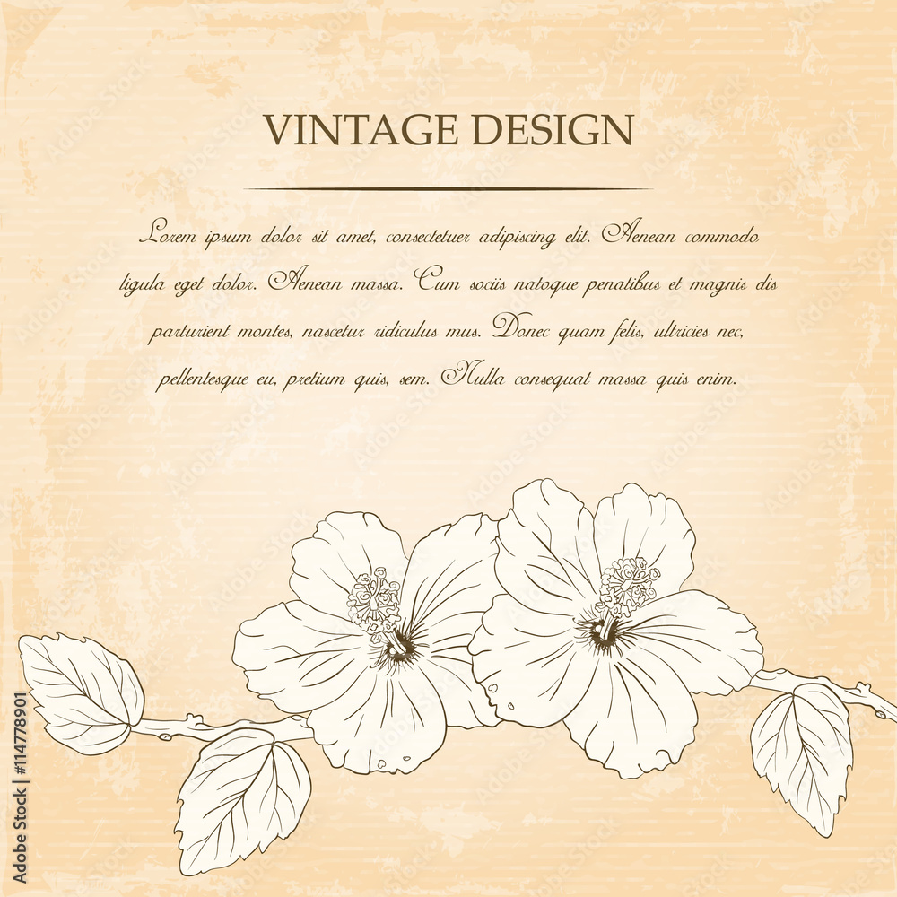 congratulations card design template with hibiscus flowers. Vector ...