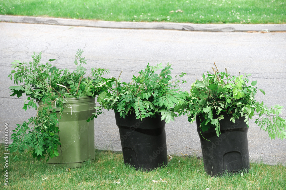 curbside yard waste collection, tree leaves and branches in trash bin ...