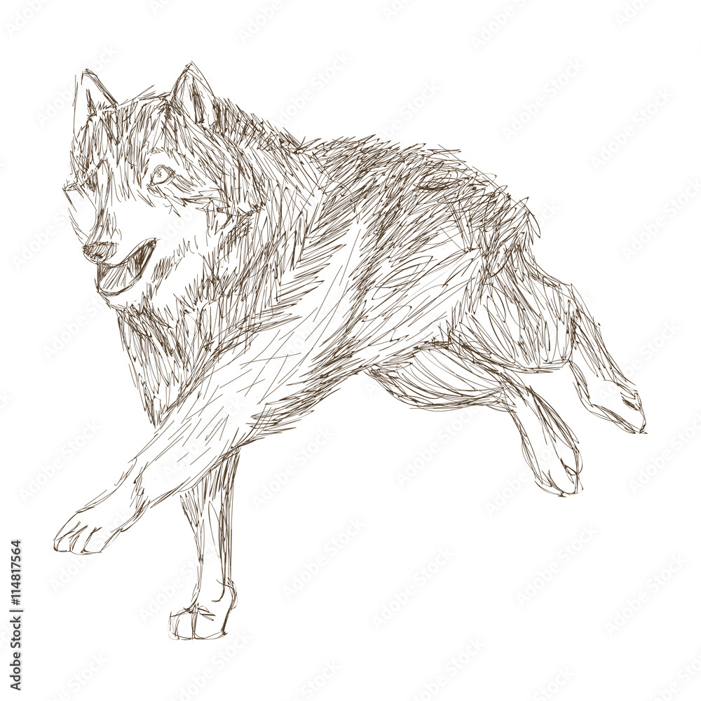 wolf running sketch icon Stock Vector | Adobe Stock