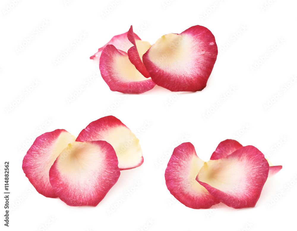 Pile of multiple rose petals Stock Photo | Adobe Stock