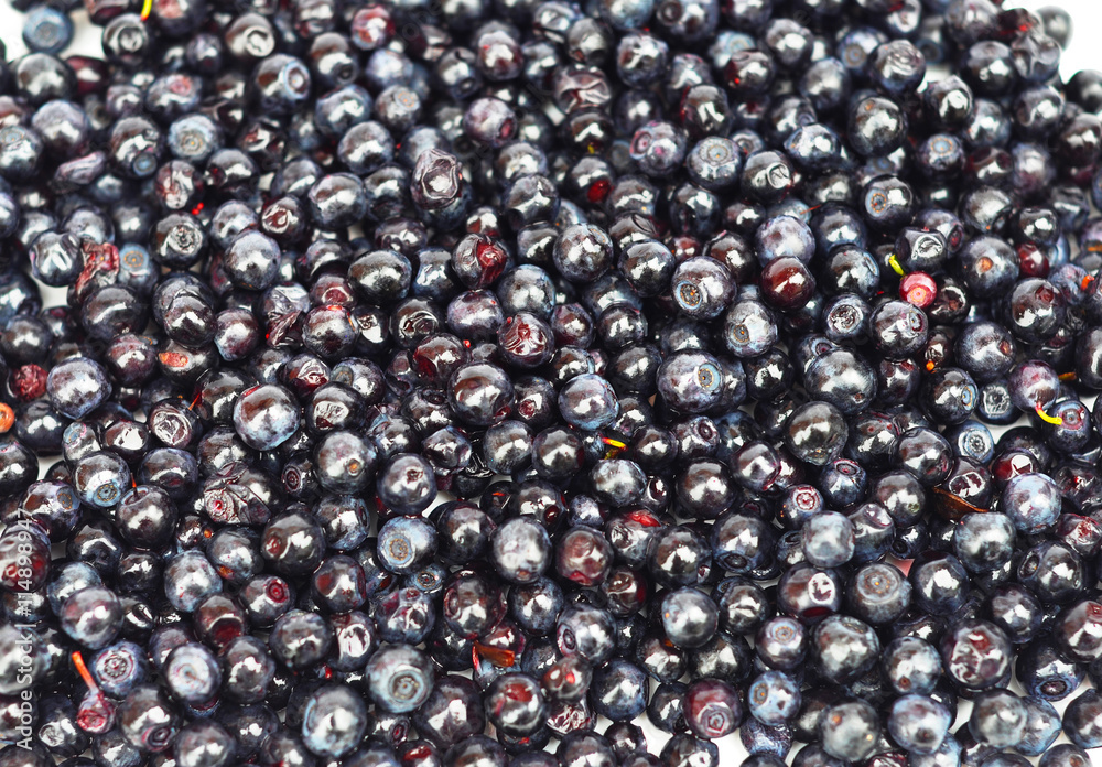 Blueberry background. Vaccinium myrtillus is a species of shrub with ...