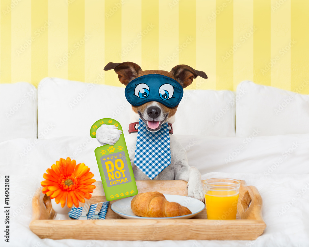 do not disturb sign with dog Stock Photo | Adobe Stock