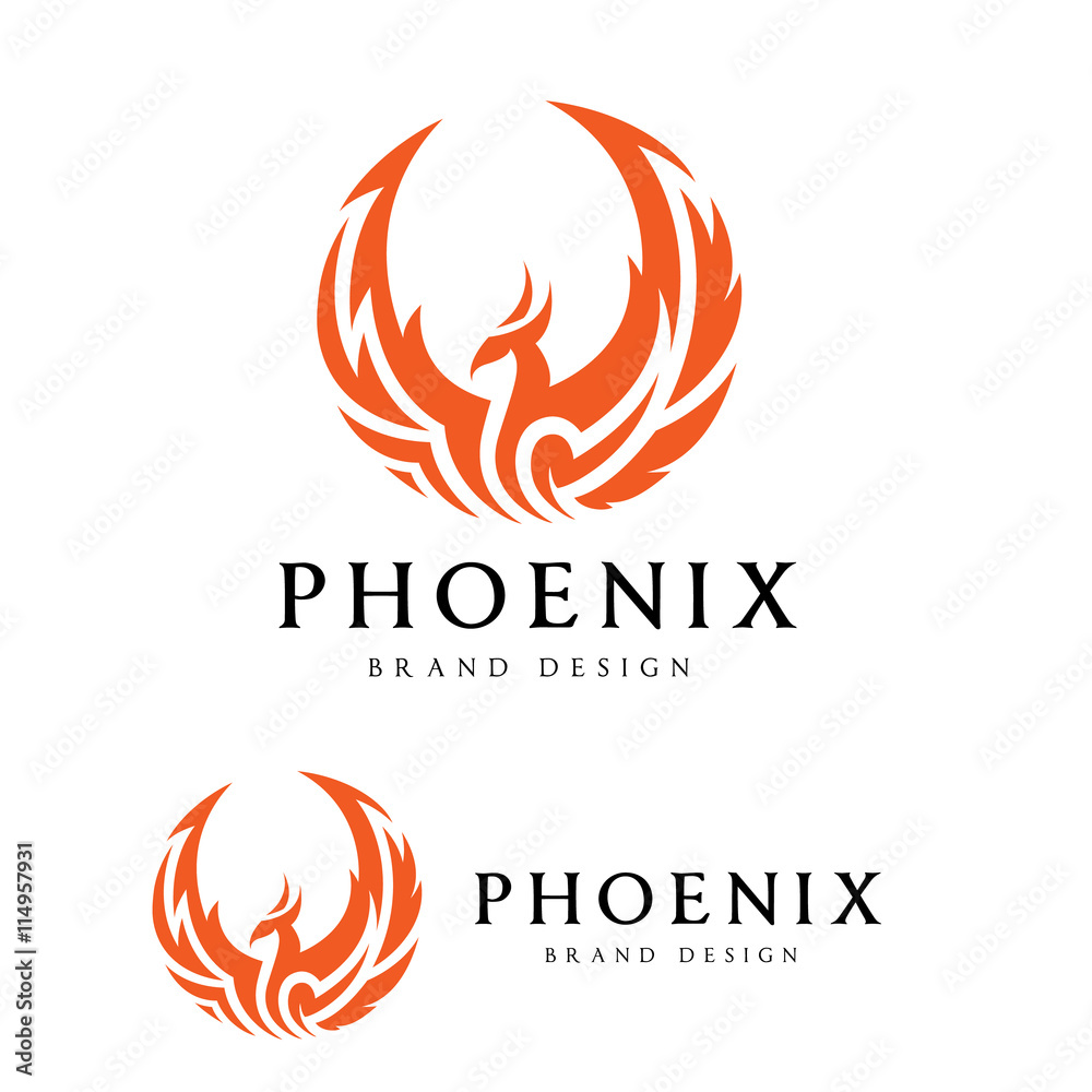 Phoenix logo,Eagle logo,Brand identity white bird and wing concept ...