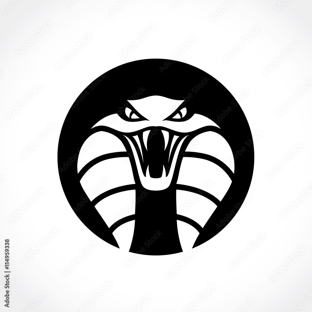 Snake Face Vector