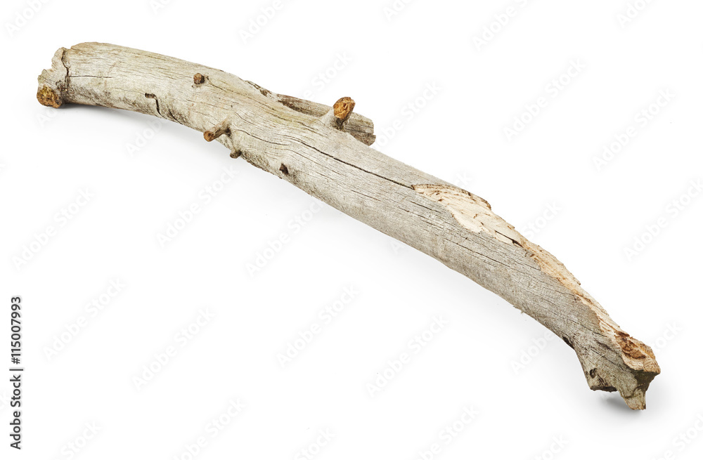 Tree stick Stock Photo | Adobe Stock