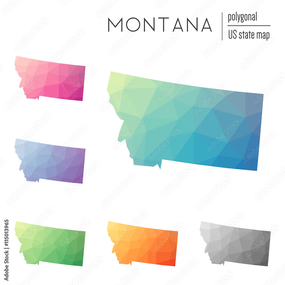 Set of vector polygonal Montana maps. Bright gradient map of the US ...