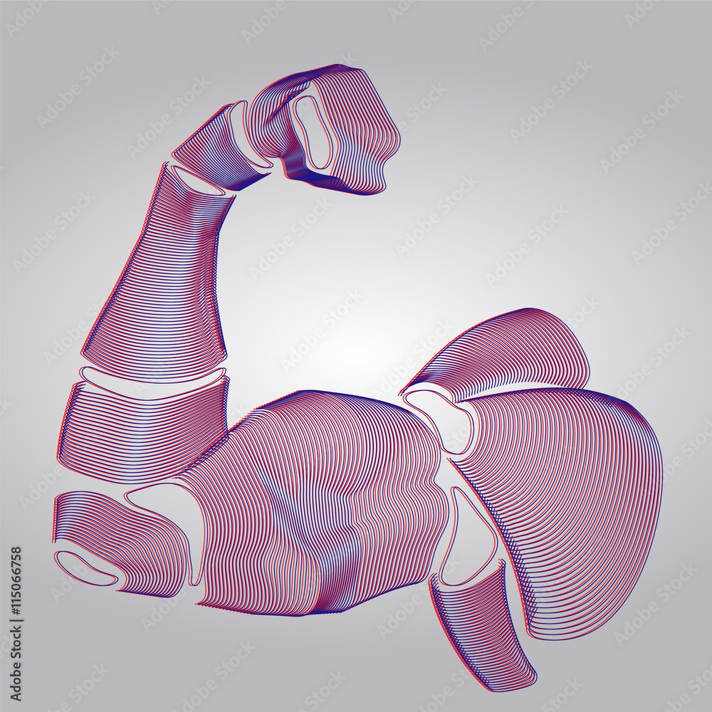 Vector art illustration of bent muscular arm showing biceps. Simple art ...