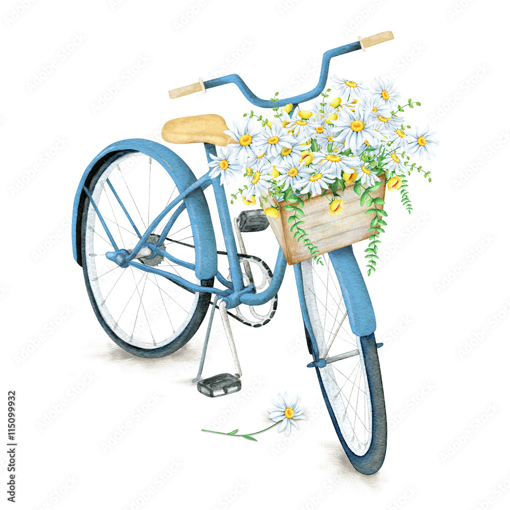 Watercolor hand drawn blue bicycle with beautiful flower basket ...