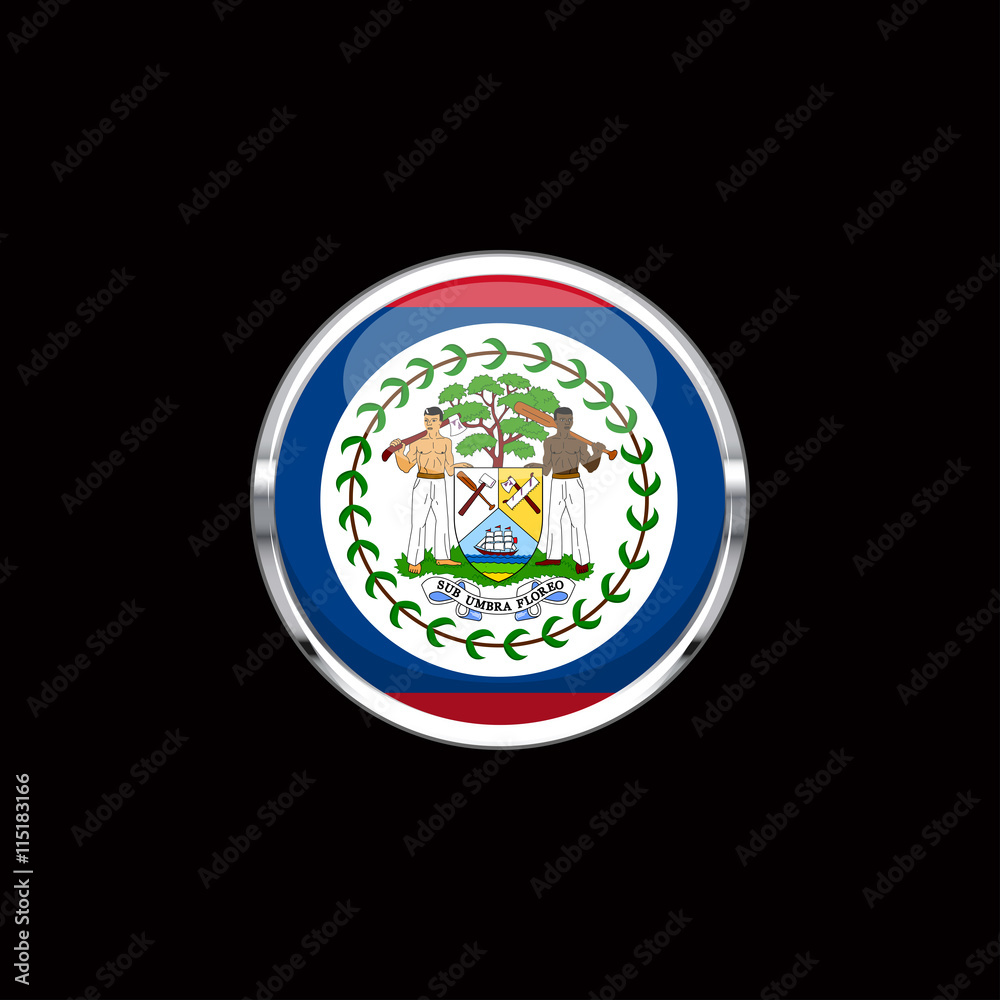 Vector flat style Belize state flag. Official design of Belize flag ...