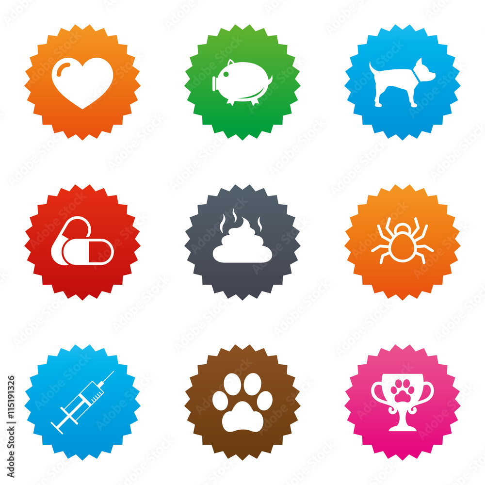 Veterinary, pets icons. Dog paw, syringe signs. Stock Vector | Adobe Stock
