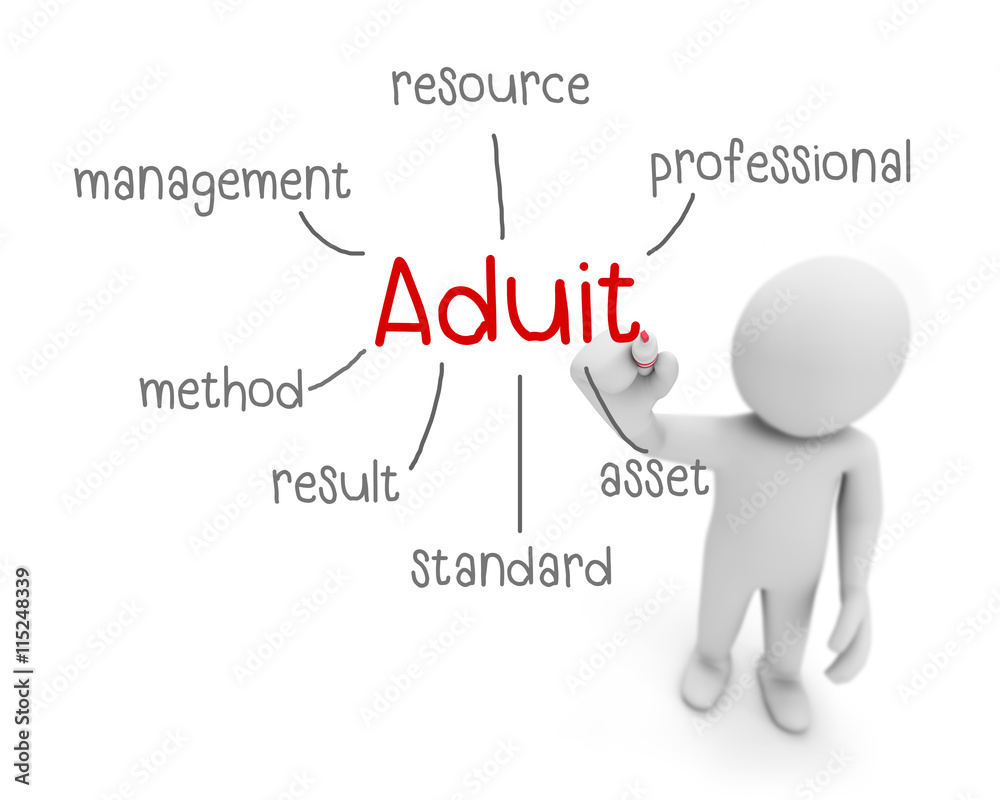 aduit text ,business man writing aduit concept ,Man explain components ...