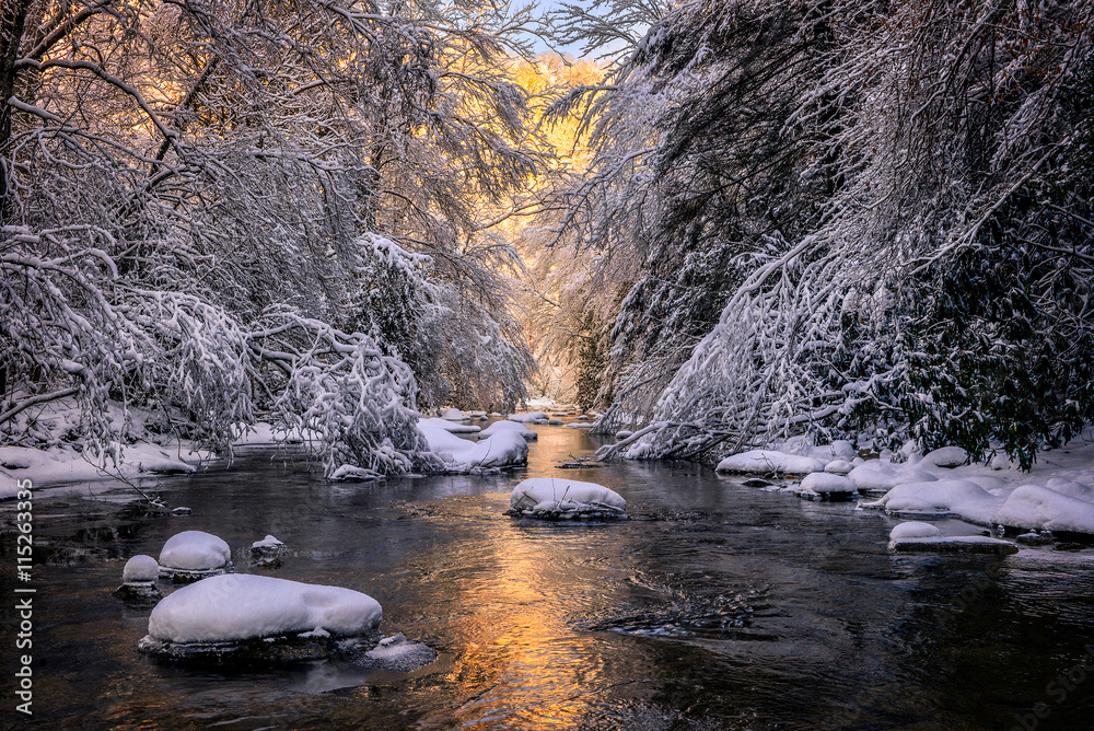 Kentucky Scenery Winter