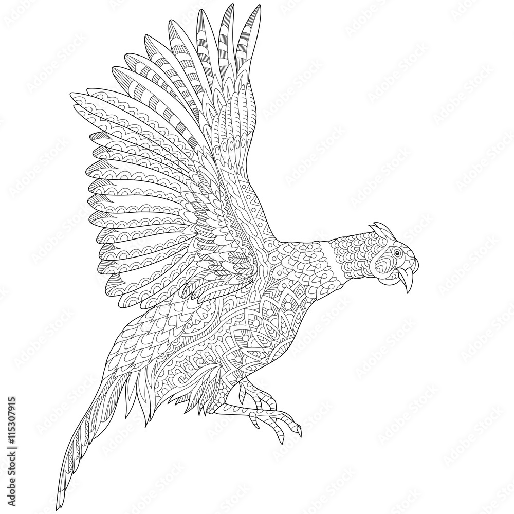 Explore 75 Newest Zentangle Fly Coloring Pages Free To Print And