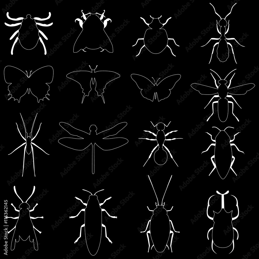 insects vector collection. Stock Vector | Adobe Stock