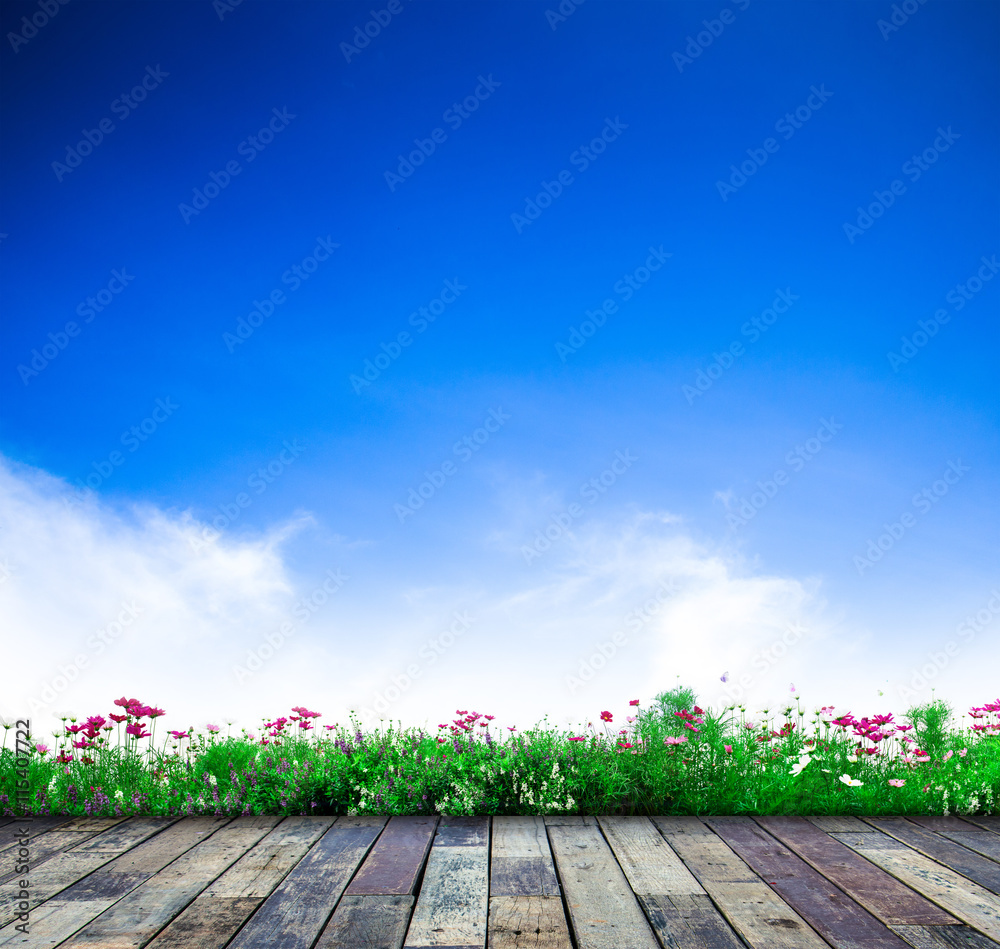Clear Sky And Flowers