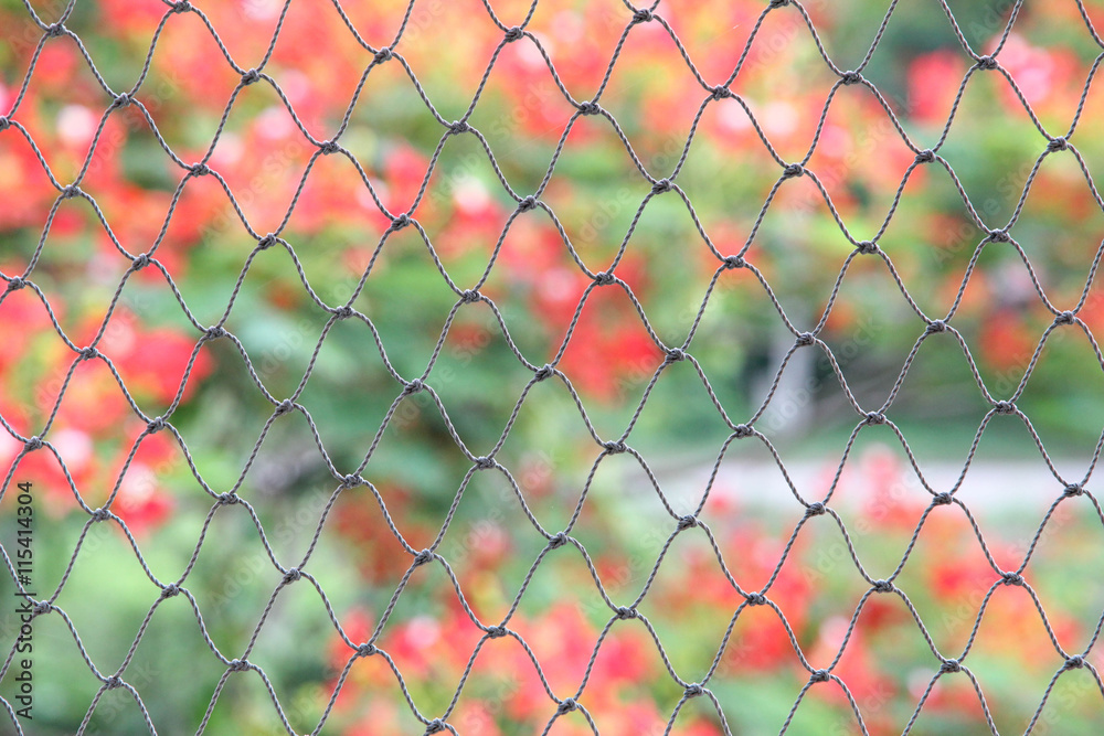 net background no.7 Stock Photo | Adobe Stock