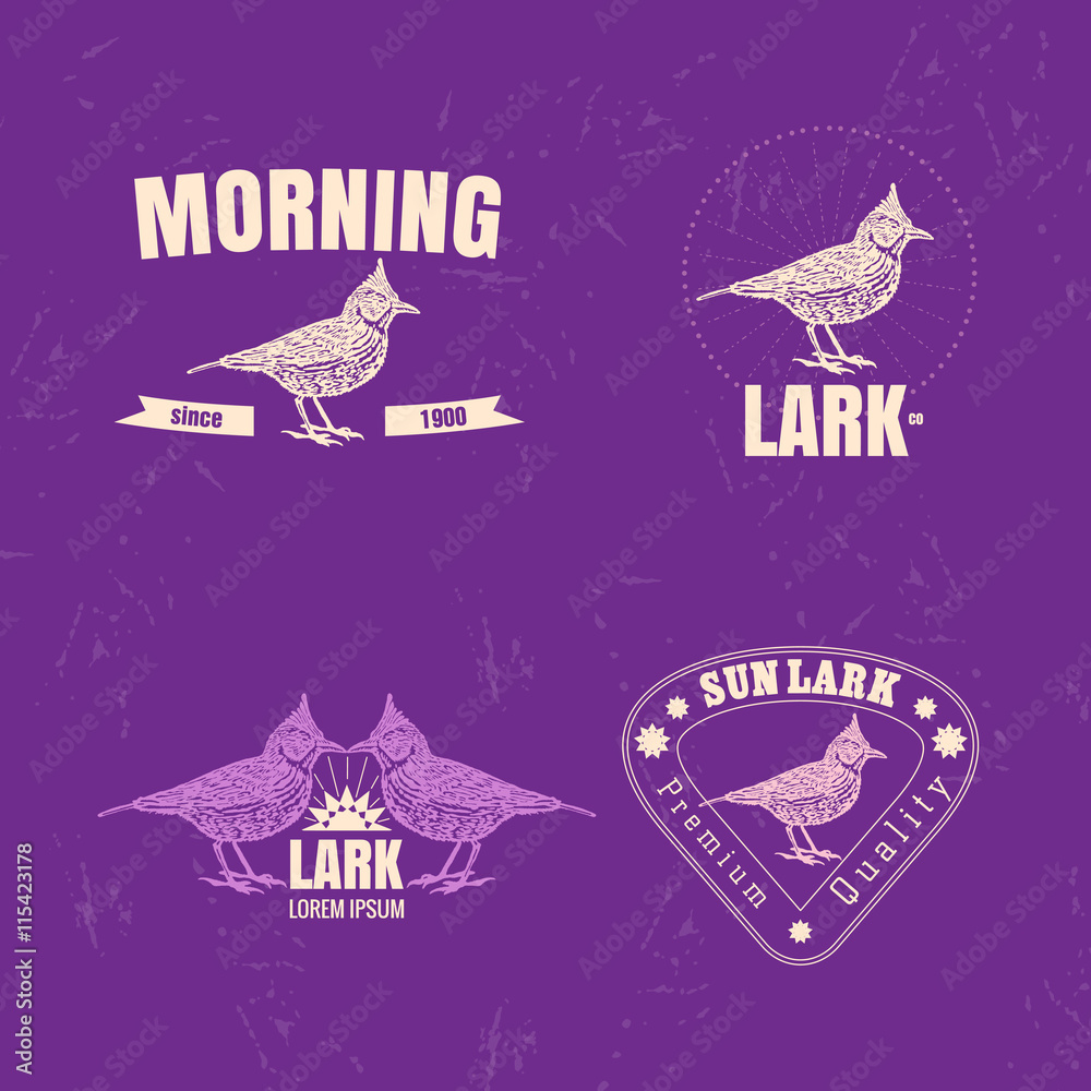 Vector colorful set with desert Crested lark bird. The lark bird as ...