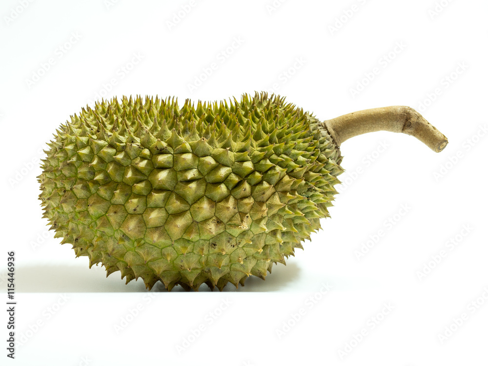 King of fruits, durian fruit with shell on white background. Stock ...