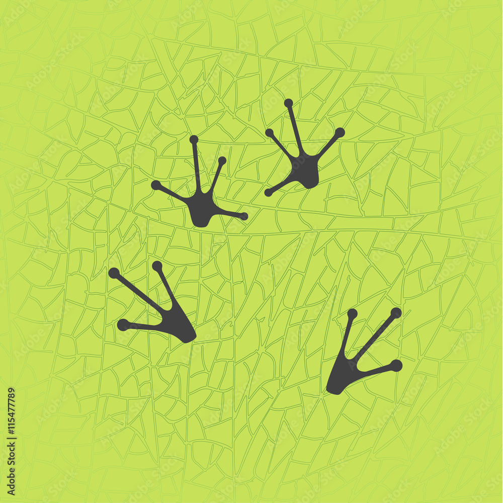 Frog Footprints