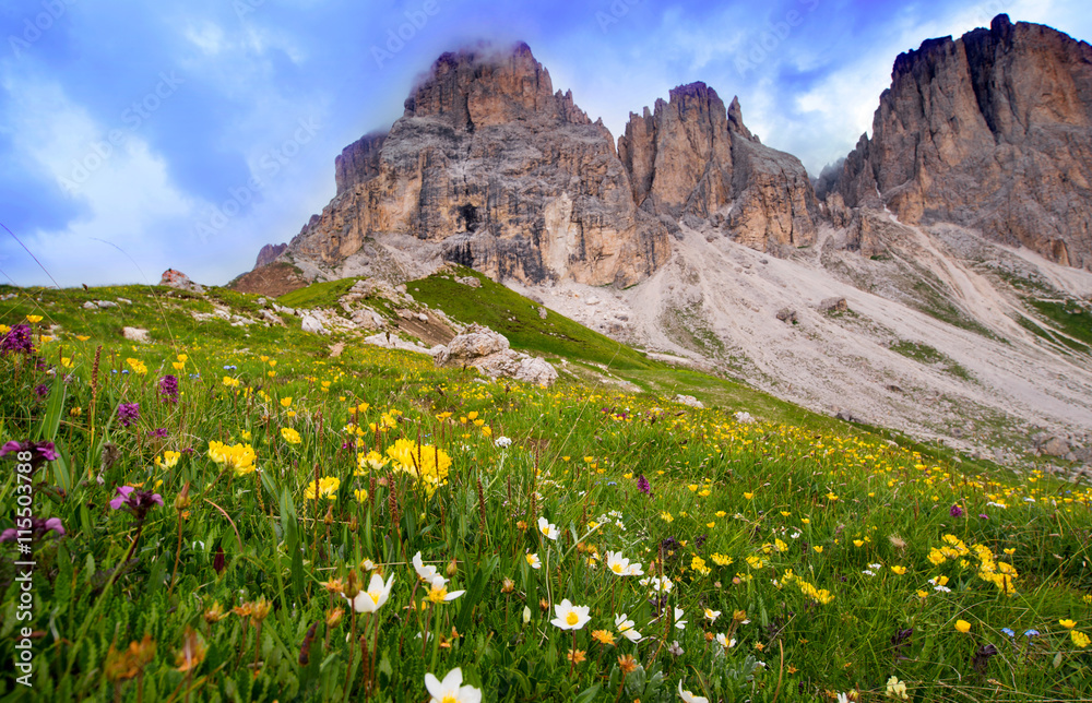 Escursionismo alpino sulle dolomiti della val di fassa nei prati ...
