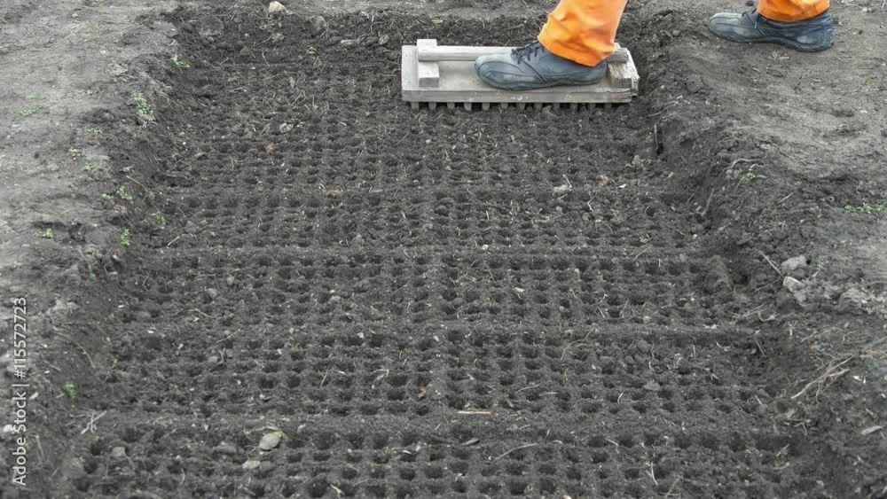 Preparing the soil for planting seeds. Using marker tool for making ...