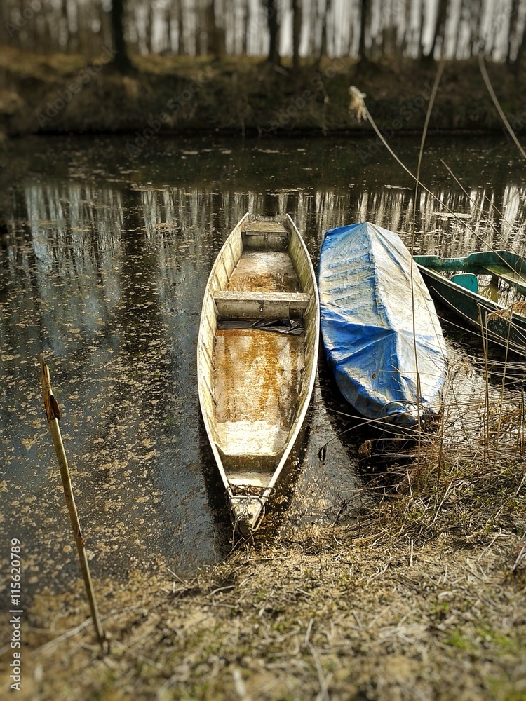 Abandoned boats in a swamp Stock Photo | Adobe Stock